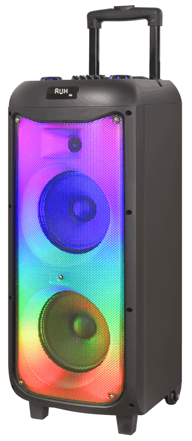 Party / Trolley Speaker